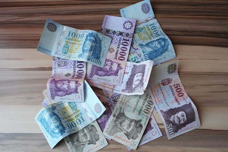 Forint - Ungerska inhemska valutan - Allt om Balaton i Ungern